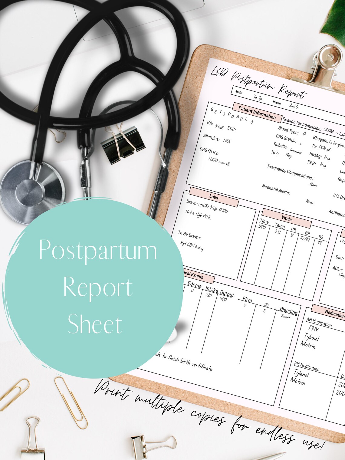 Postpartum Report Sheet / Digital Download - Etsy