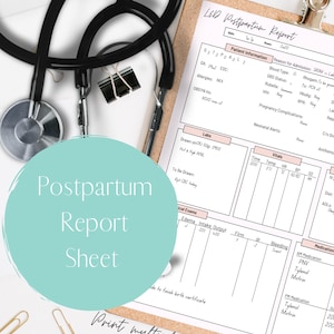 Postpartum Report Sheet / Digital Download - Etsy
