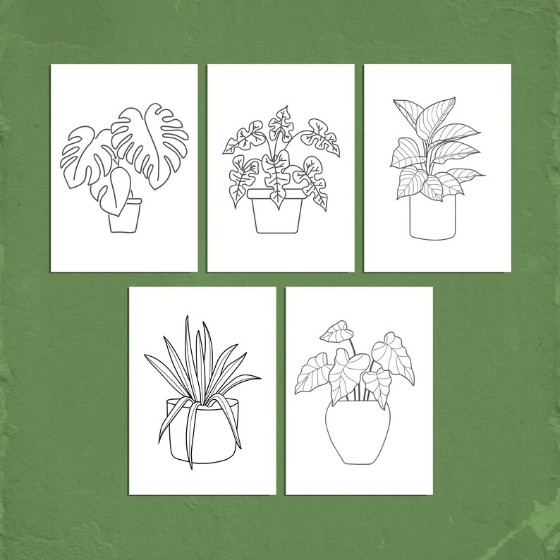 Printable Houseplant Coloring Page | Digital Download Coloring Page for ...