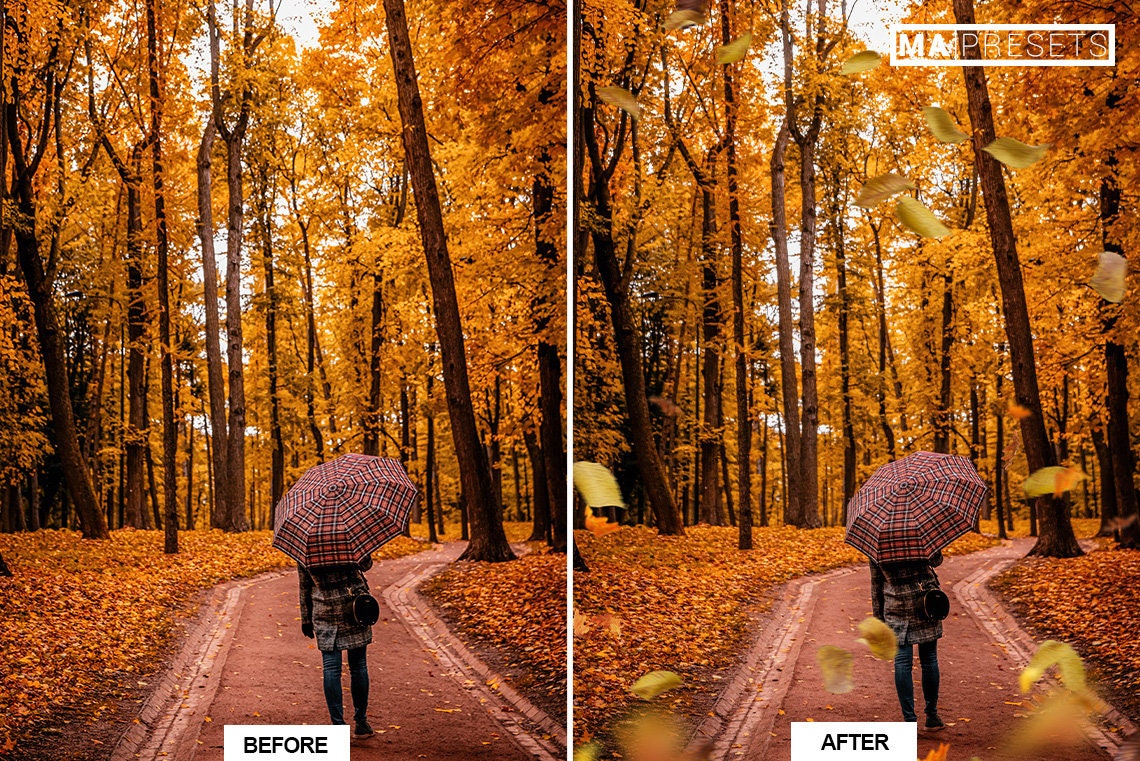 70 AUTUMN OVERLAYS Autumn Photo Overlays for Photoshop - Etsy