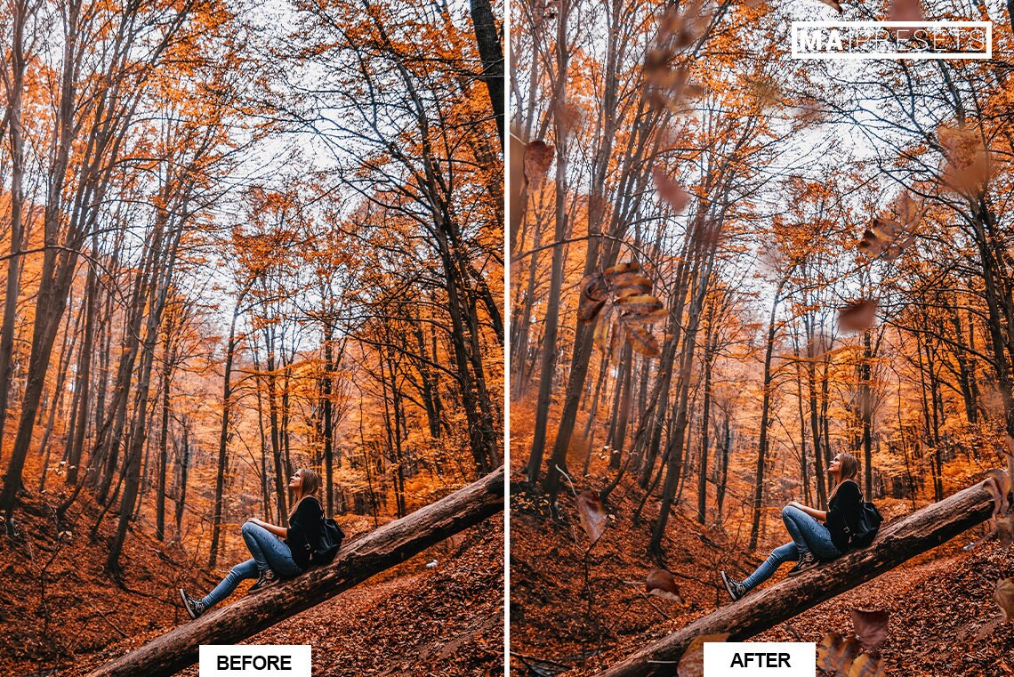 70 AUTUMN OVERLAYS Autumn Photo Overlays for Photoshop - Etsy