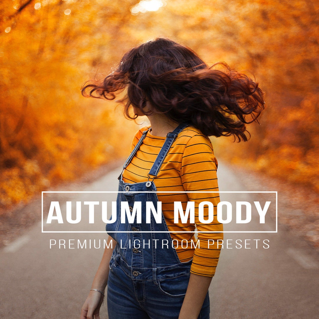 10 AUTUMN MOODY Lightroom Mobile and Desktop Presets Autumn Moody Matte ...