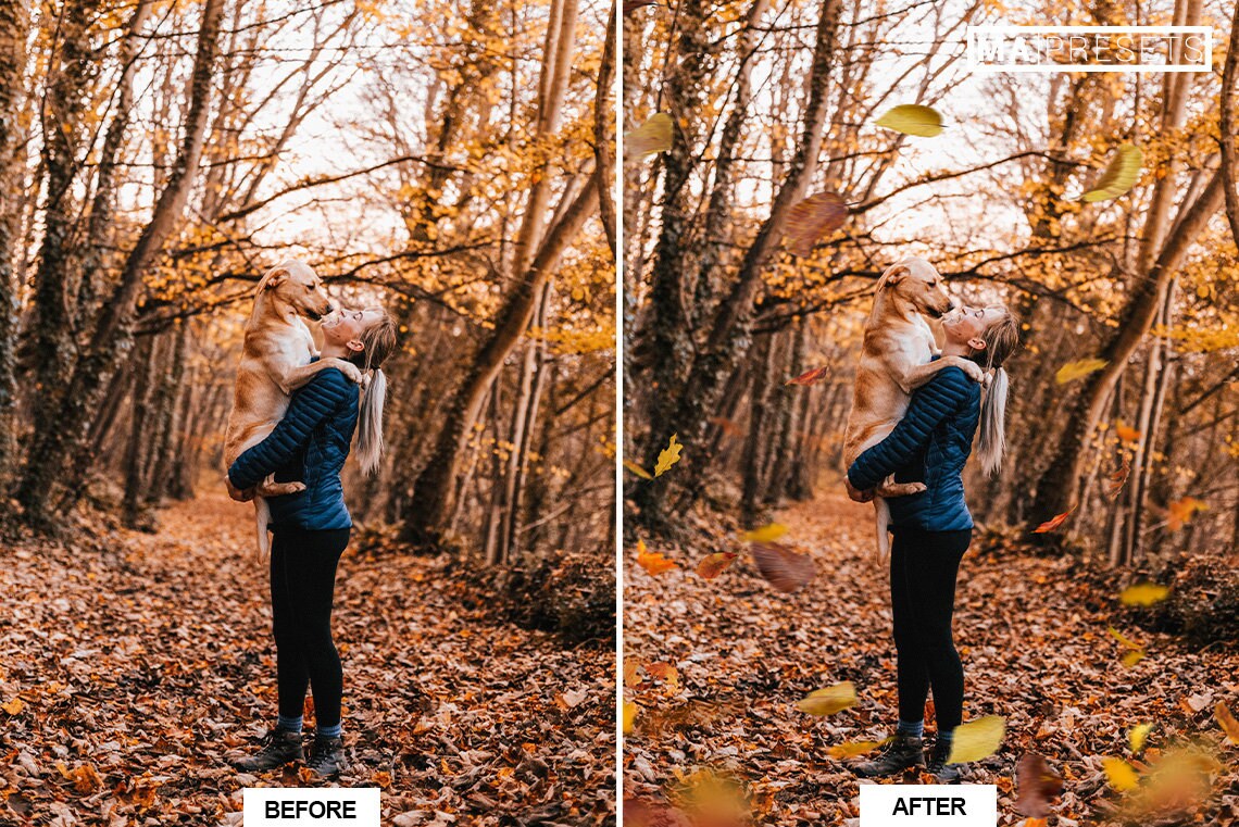 70 AUTUMN OVERLAYS Autumn Photo Overlays for Photoshop - Etsy
