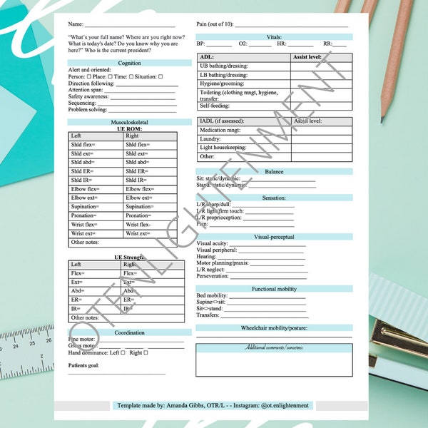 Chart Review and Evaluation Template for Acute Care - Etsy Canada