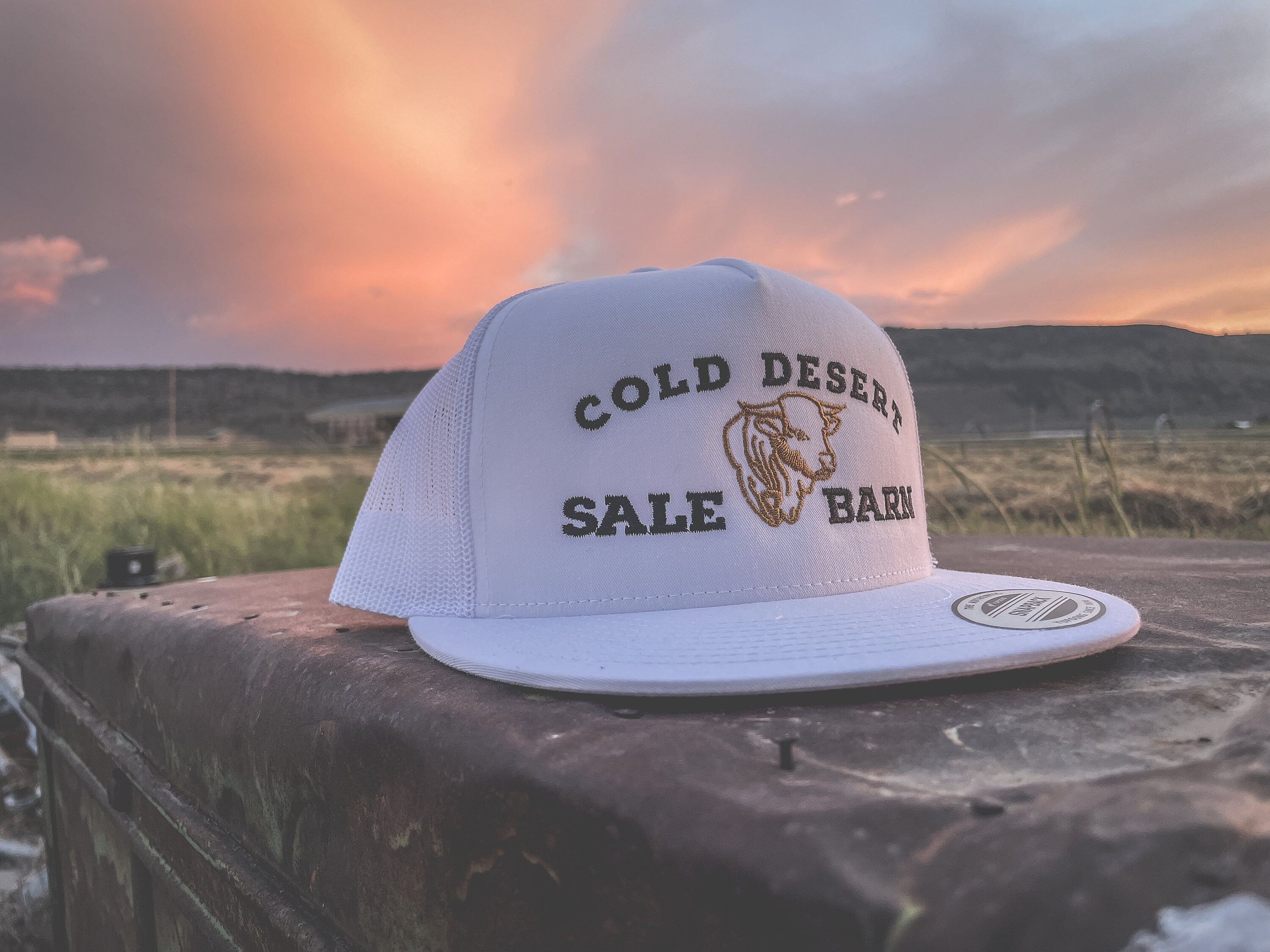 Cold Desert Sale Barn White Trucker Cap // Western Style // Rodeo Hat ...