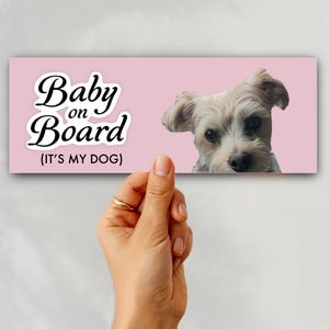 Custom Pet Baby on Board Car Decal, Personalized Dog Car Sticker, Cat ...