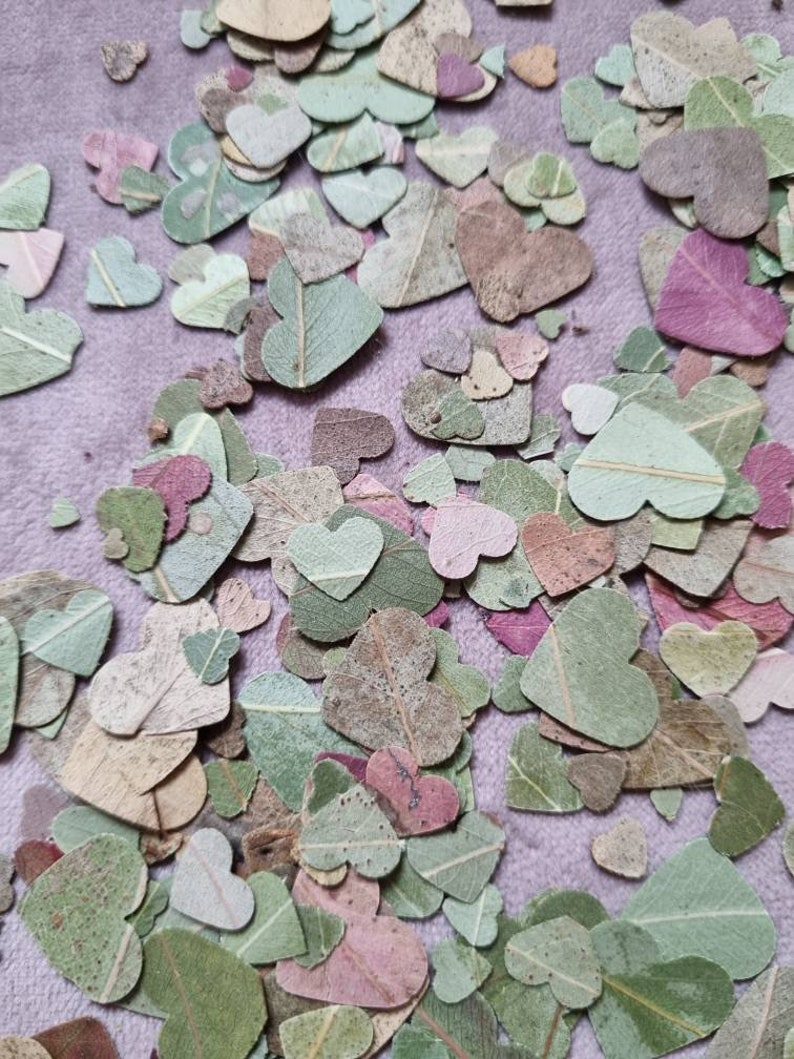 Dried Leaves Heart Wedding Confetti - Etsy Australia