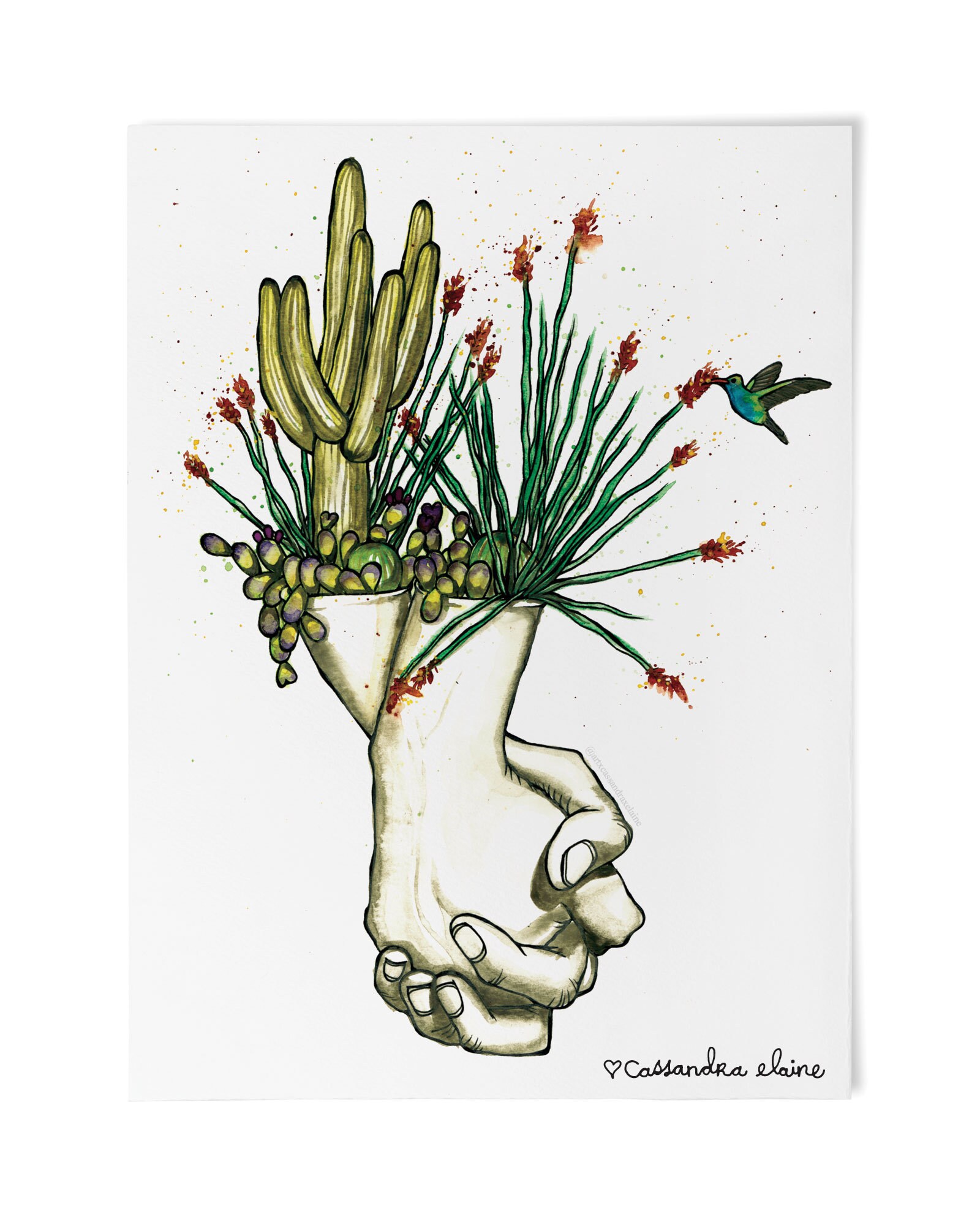 Ocotillo Flower Drawing