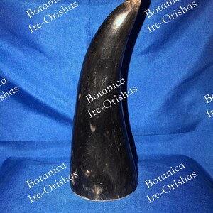 TARRO Cuerno Horn Carga De Egun Oggun OGUE Religion Yoruba Ifa - Etsy