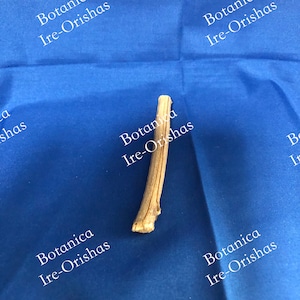 Palo Moruro Religion YORUBA IFA SANTERIA - Etsy