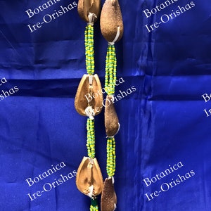 Opele Ekuele De Orula Orunmila Criollo Religion Yoruba Ifa Africana - Etsy