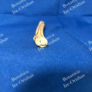 Palo Moruro Religion YORUBA IFA SANTERIA - Etsy