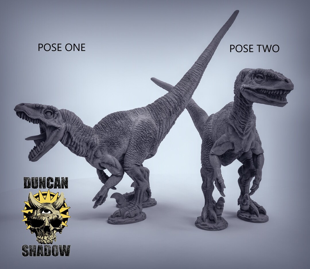 Velociraptor 3D Resin Printed Miniature D&D Dungeons and Dragons Dnd ...