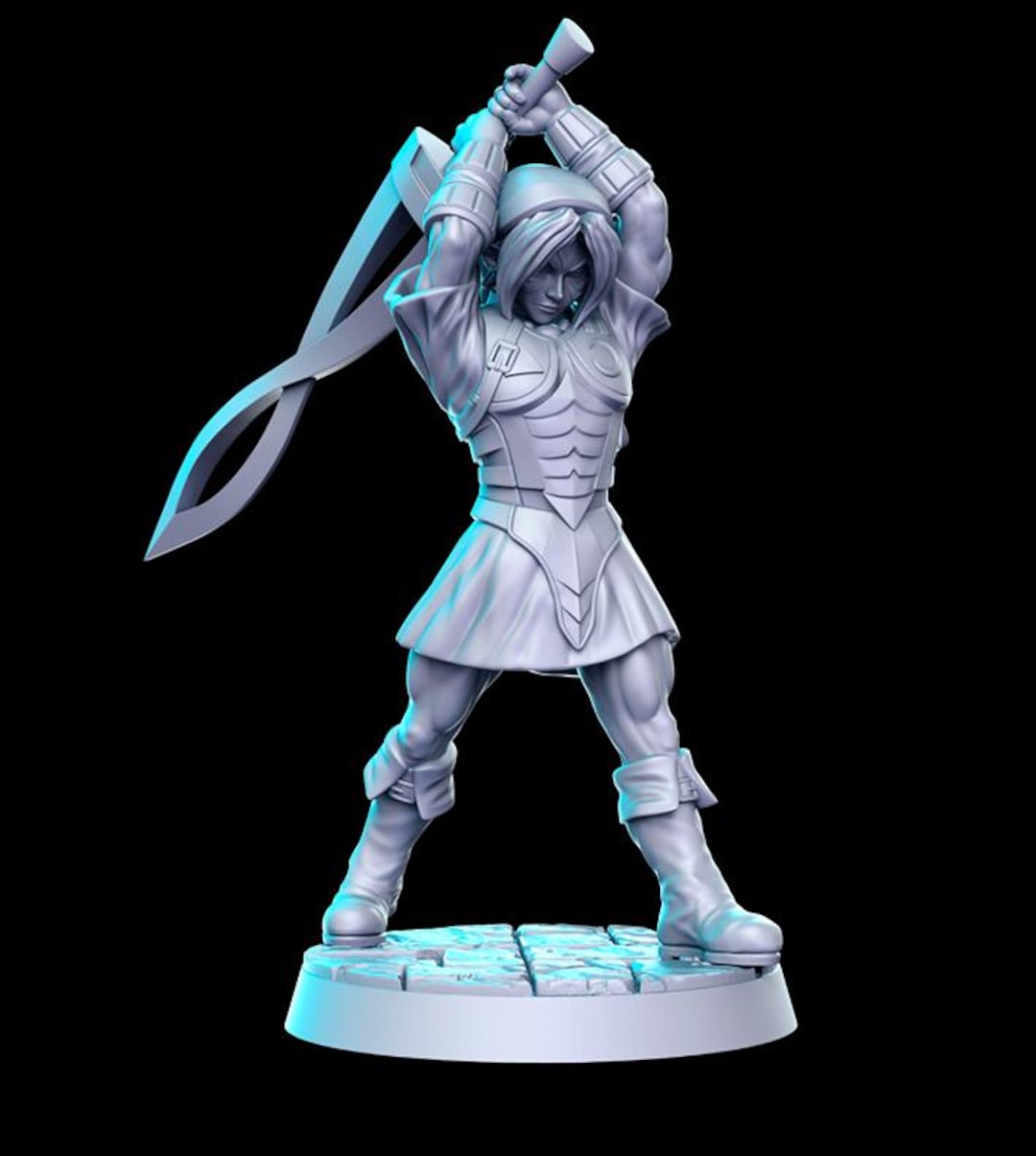 Fierce Deity Link Elven Warrior Fighter 28mm 32mm D&D Resin Miniature ...