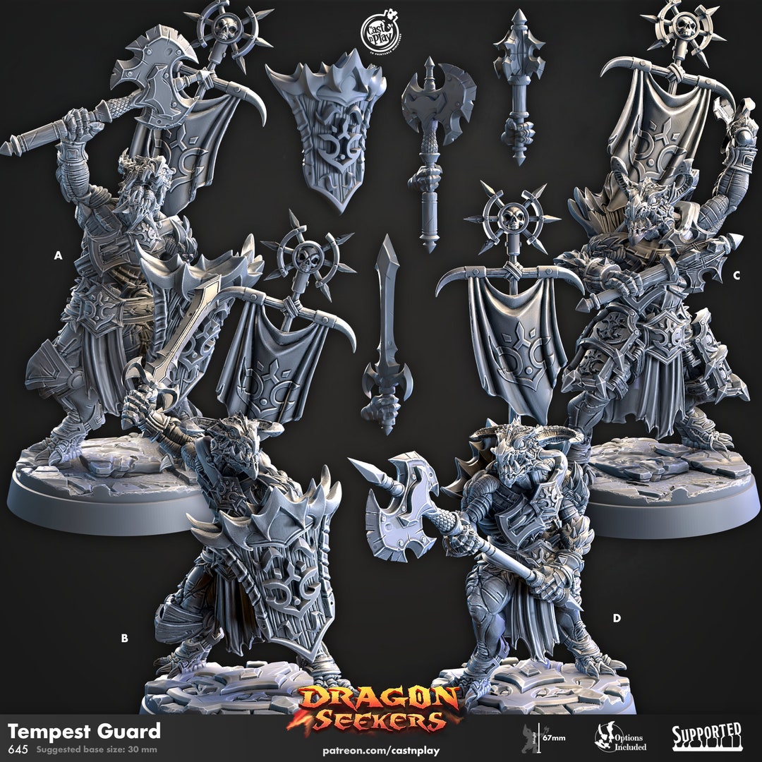 Tempest Guards Dragonborn Paladin Clerics Dragon Seekers 28mm or 32mm D ...