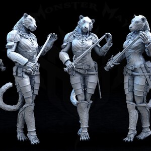 Male or Female Tabaxi Fighters 28mm 3D Print Miniature Dungeons and ...