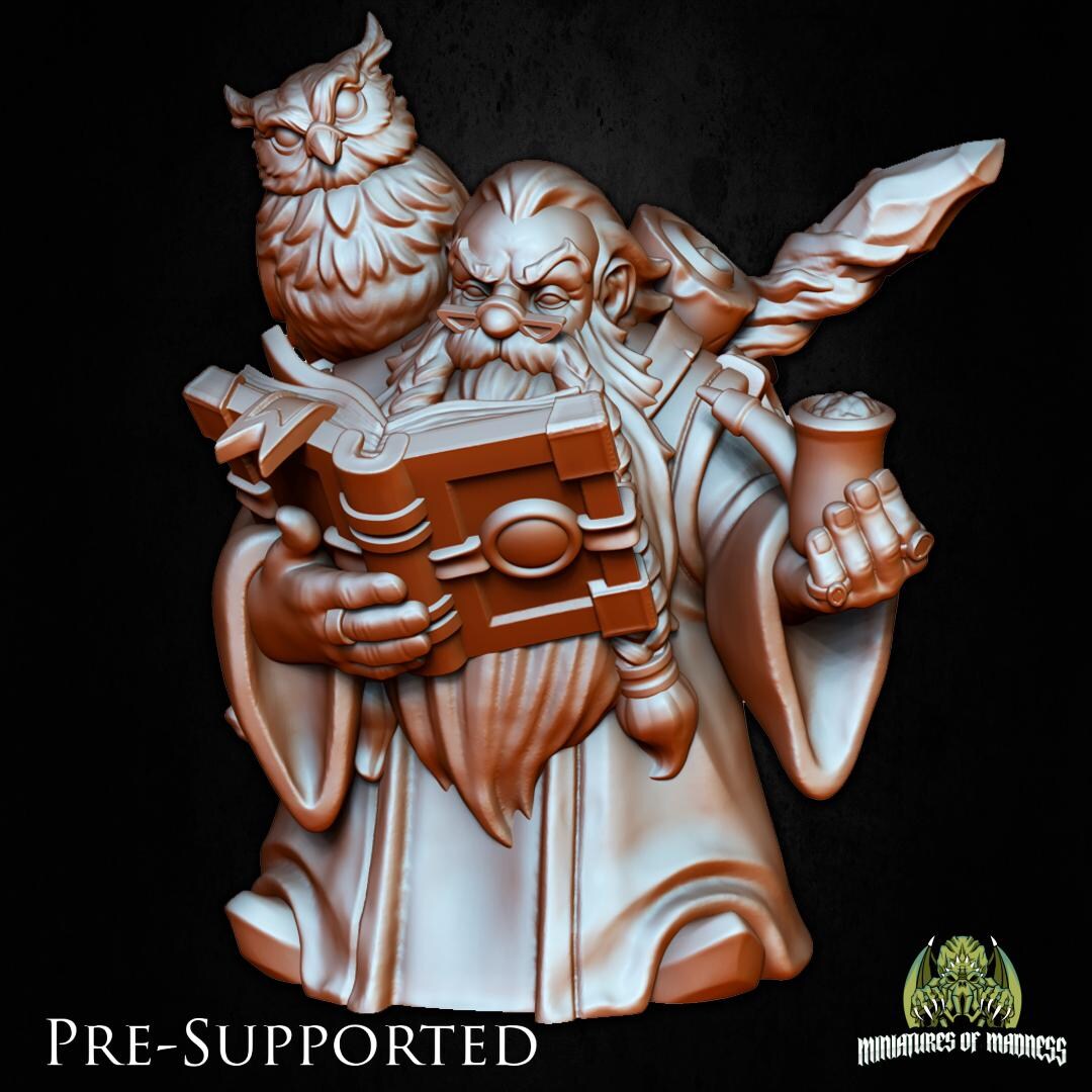 Razak Onyxtoe Owl Mage Wizard 28mm 32mm D&D Resin Mini Dungeons and ...