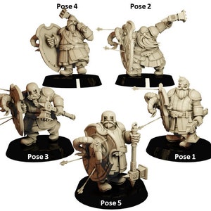 Dwarf Shield Bearer 28mm / 32mm D&D 3D Resin Printed Miniature Dungeons and Dragons Pathfinder ...