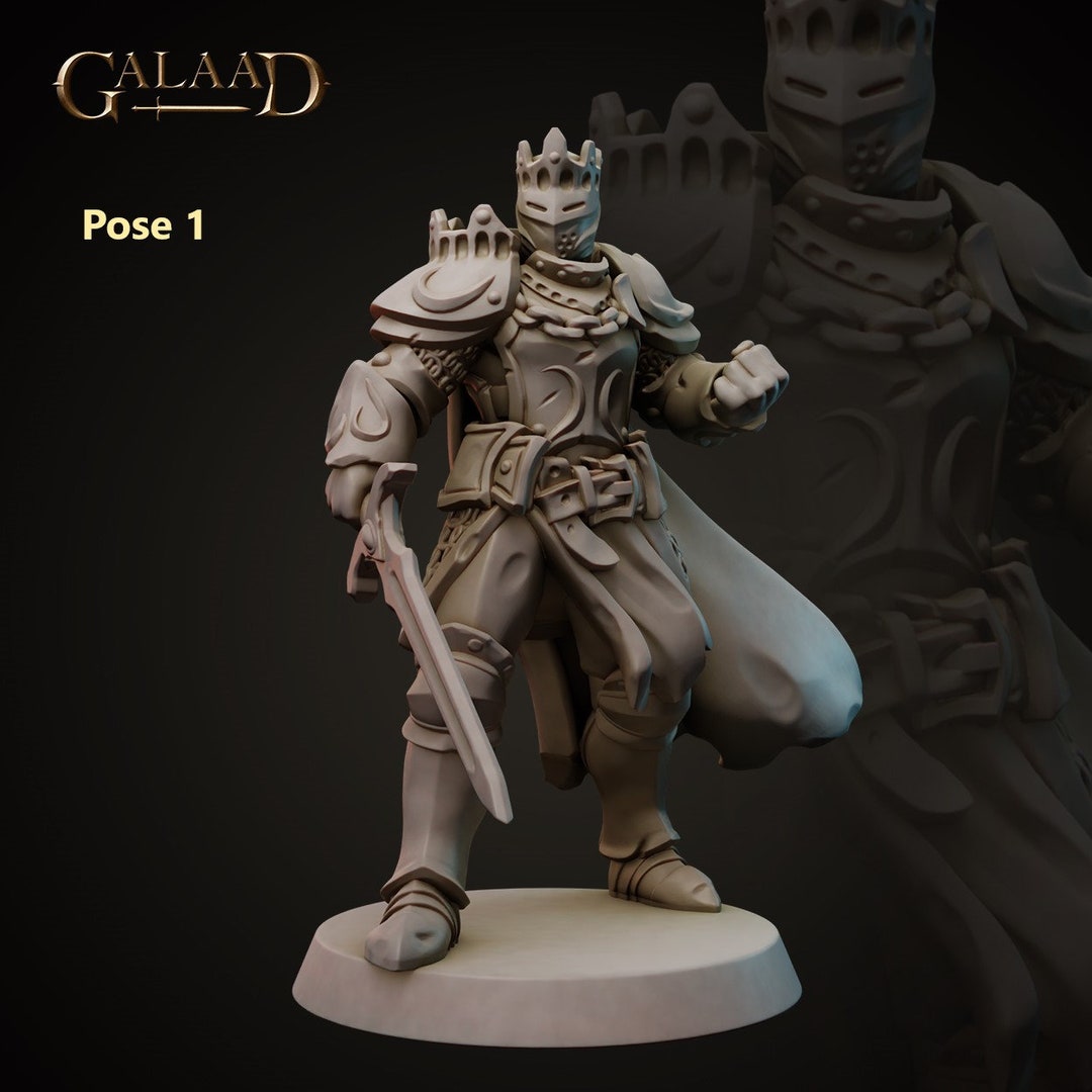 King Armor Royal Fighter Warrior 32mm 28mm Resin Miniature Dungeons and ...