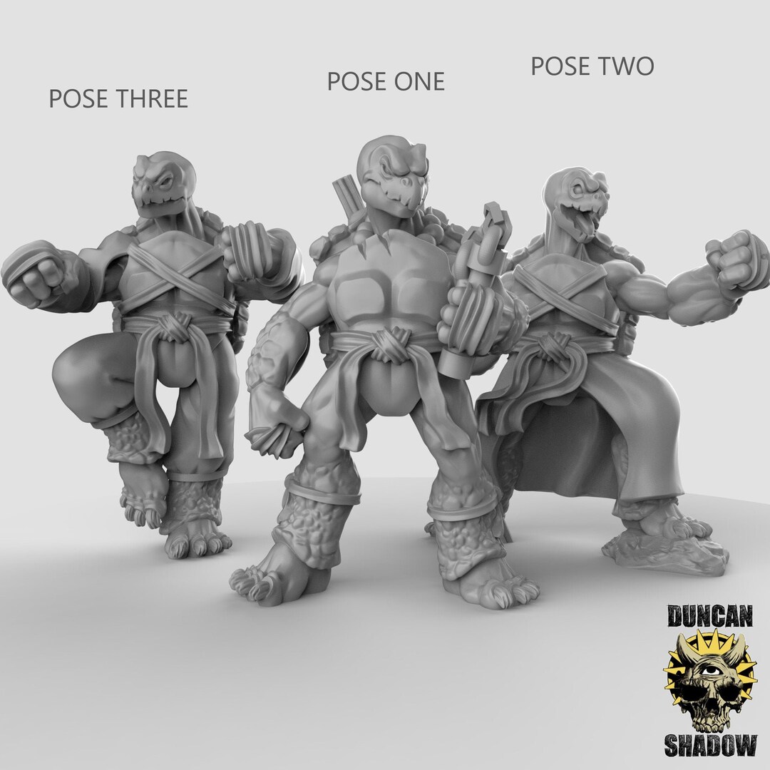 Tortle Ninja Monk 28mm / 32mm TMNT Miniatures Resin Printed Dungeons ...