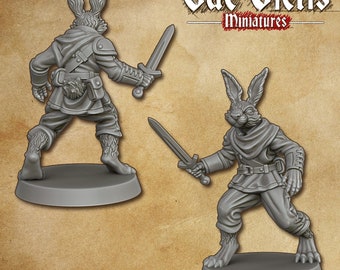 Rabbit Folk Wizard Mini 28mm 32mm D&D Resin Miniature Dungeons - Etsy