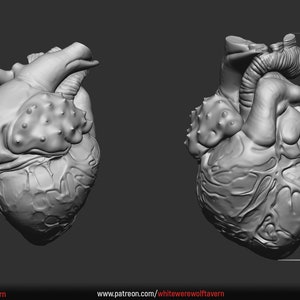 Colossal Undead Tarrasque Model Kit Monster Miniature Dungeons and ...