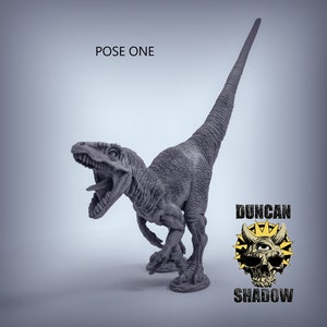 Velociraptor 3D Resin Printed Miniature D&D Dungeons and Dragons Dnd ...