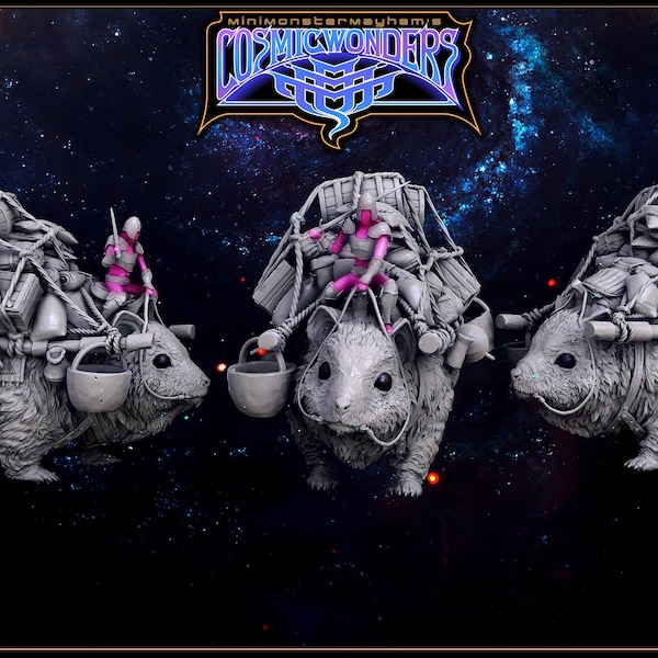 Giant Space Hamster Miniature - Etsy