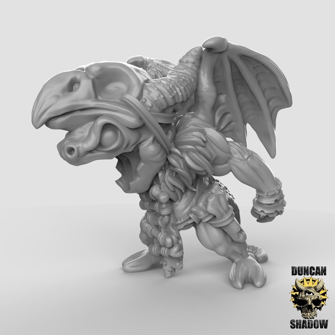 Winged Kobold Shaman 28mm 32mm Resin Miniature Dungeons and Dragons ...