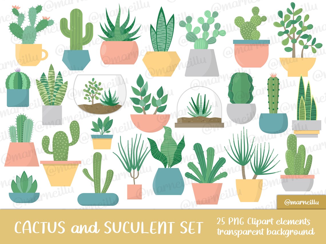 Cactus and Suculent Clipart Set instant Download - Etsy