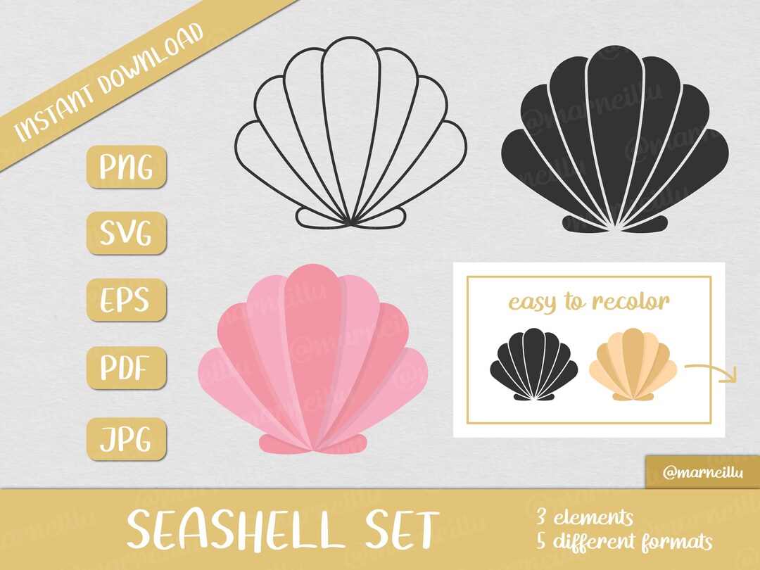 Seashell SVG Clipart Set - Ocean, Shell, Drawing, Layers, Cricut ...