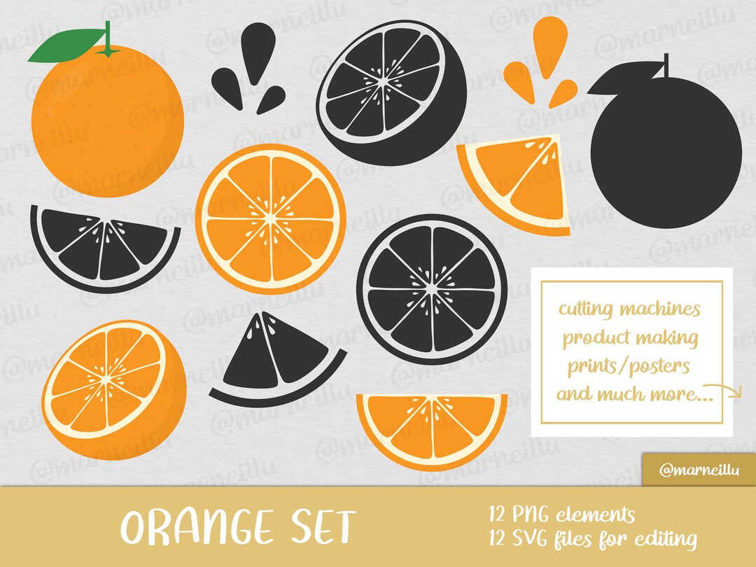 Orange Fruit SVG Clipart Set - Image, Printable, Png, Citrus (instant ...
