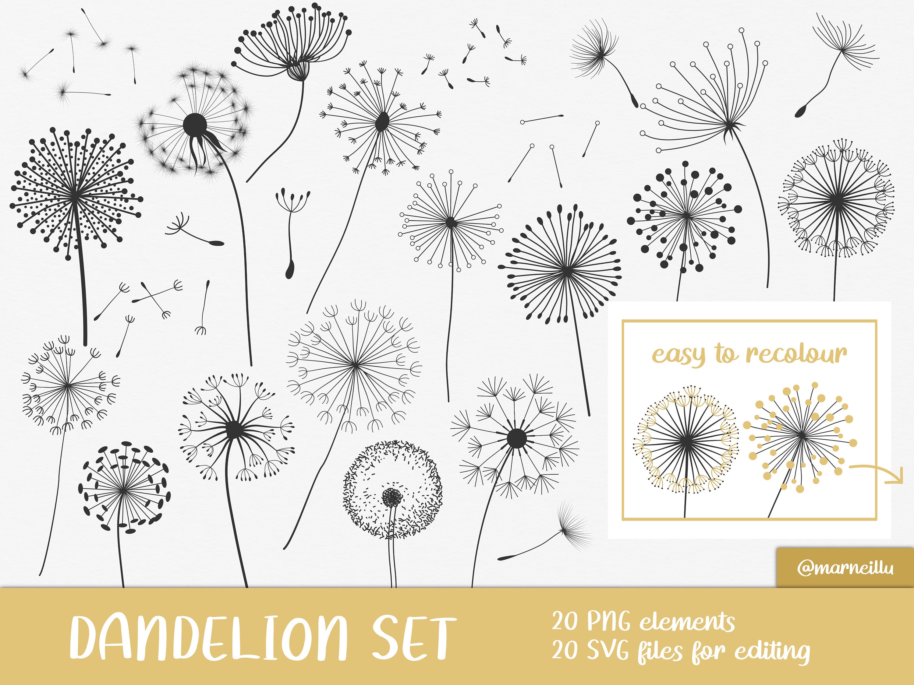Dandelion SVG Clipart Set Flora Flower Dandelions Edit - Etsy