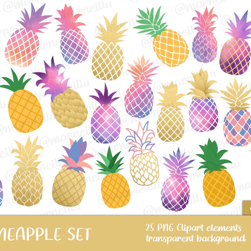 Pink Pineapple - Etsy