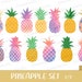 Pineapple Clipart Set - Fruit, Exotic, Colorful, Texture, Watercolor ...
