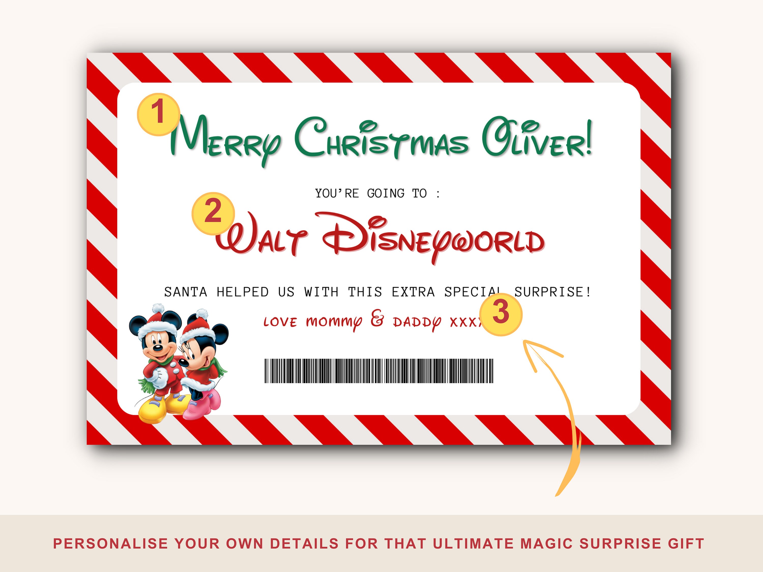 Personalised Disneyland Ticket | Custom Disney Gift Voucher | Walt ...