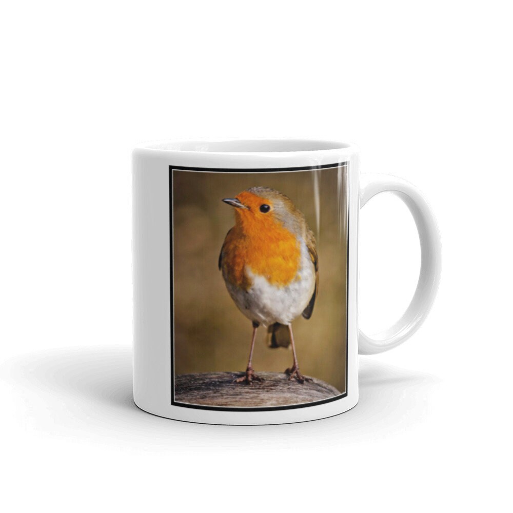 Robin Mug, Bird Coffee Mugs, Robin Lovers Gift, UK Robins, British ...