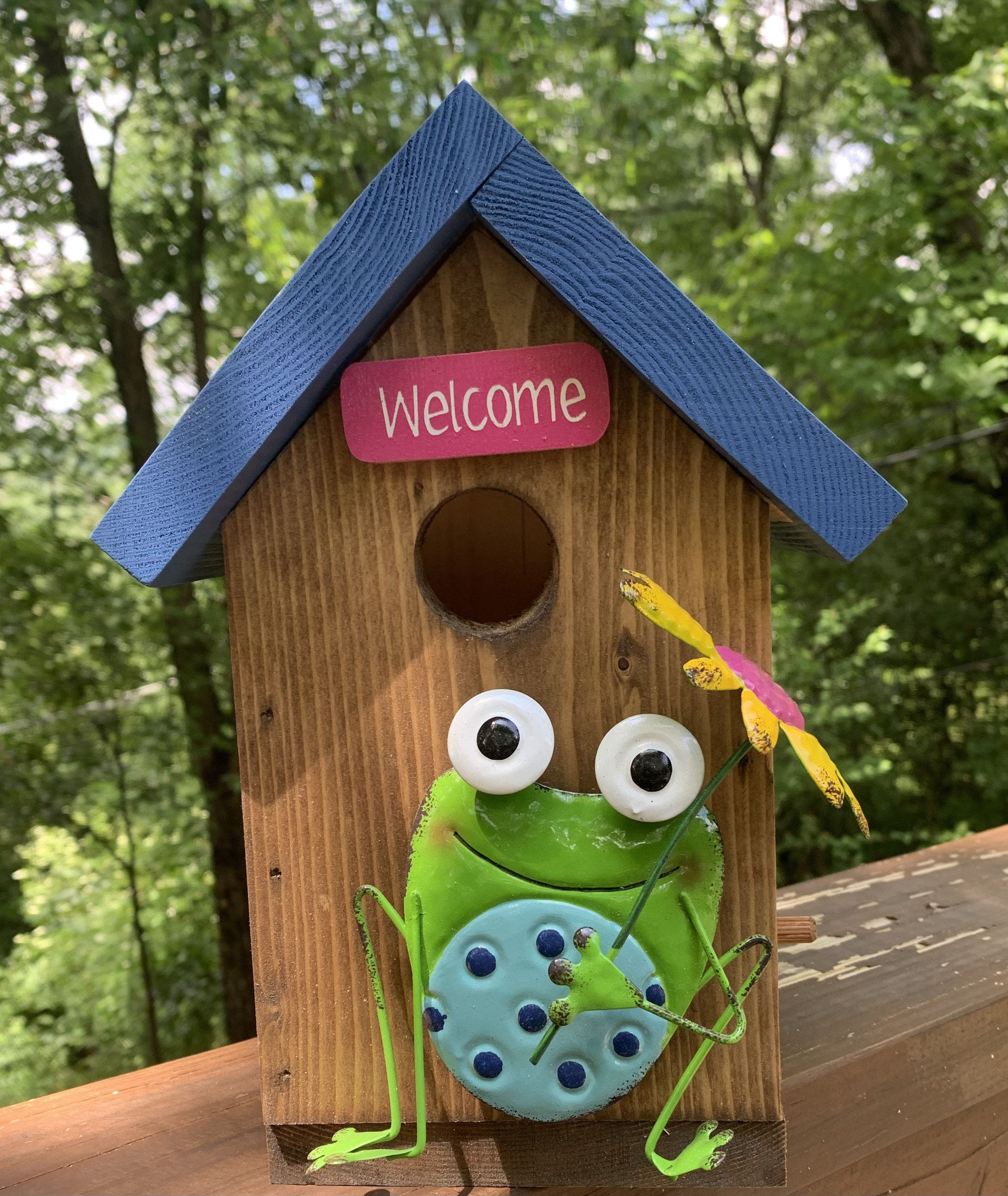 Handmade Outdoor Wooden Frog Birdhouse, Bird House, Frog Decor, Outdoor ...