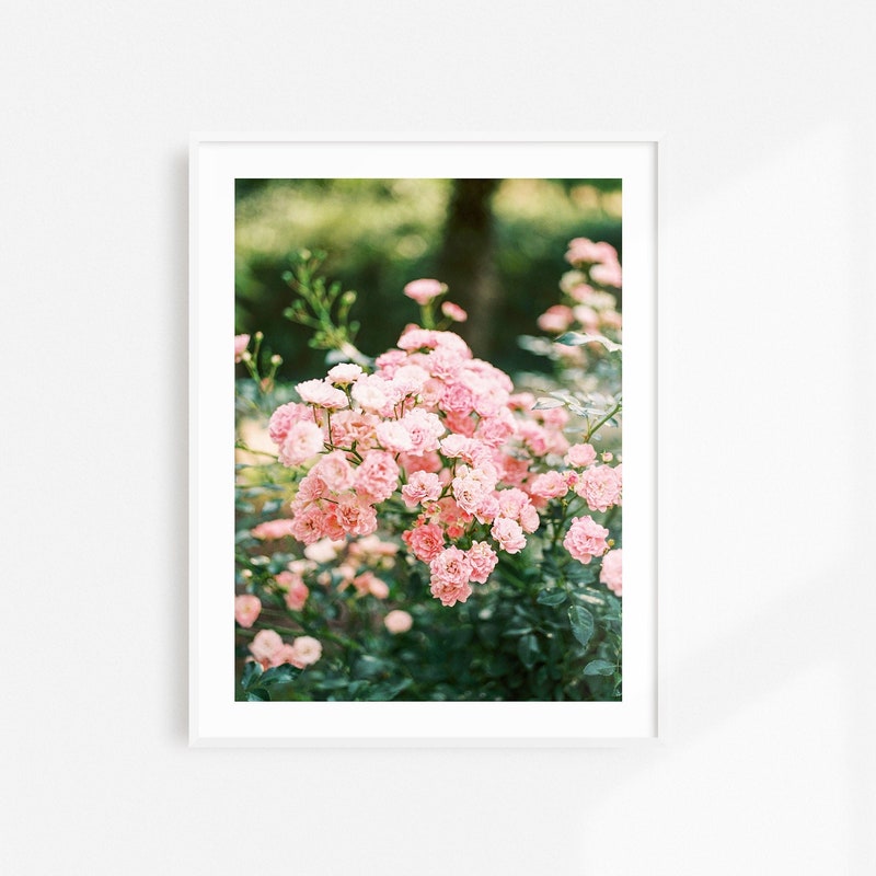 Floral Photography - Etsy