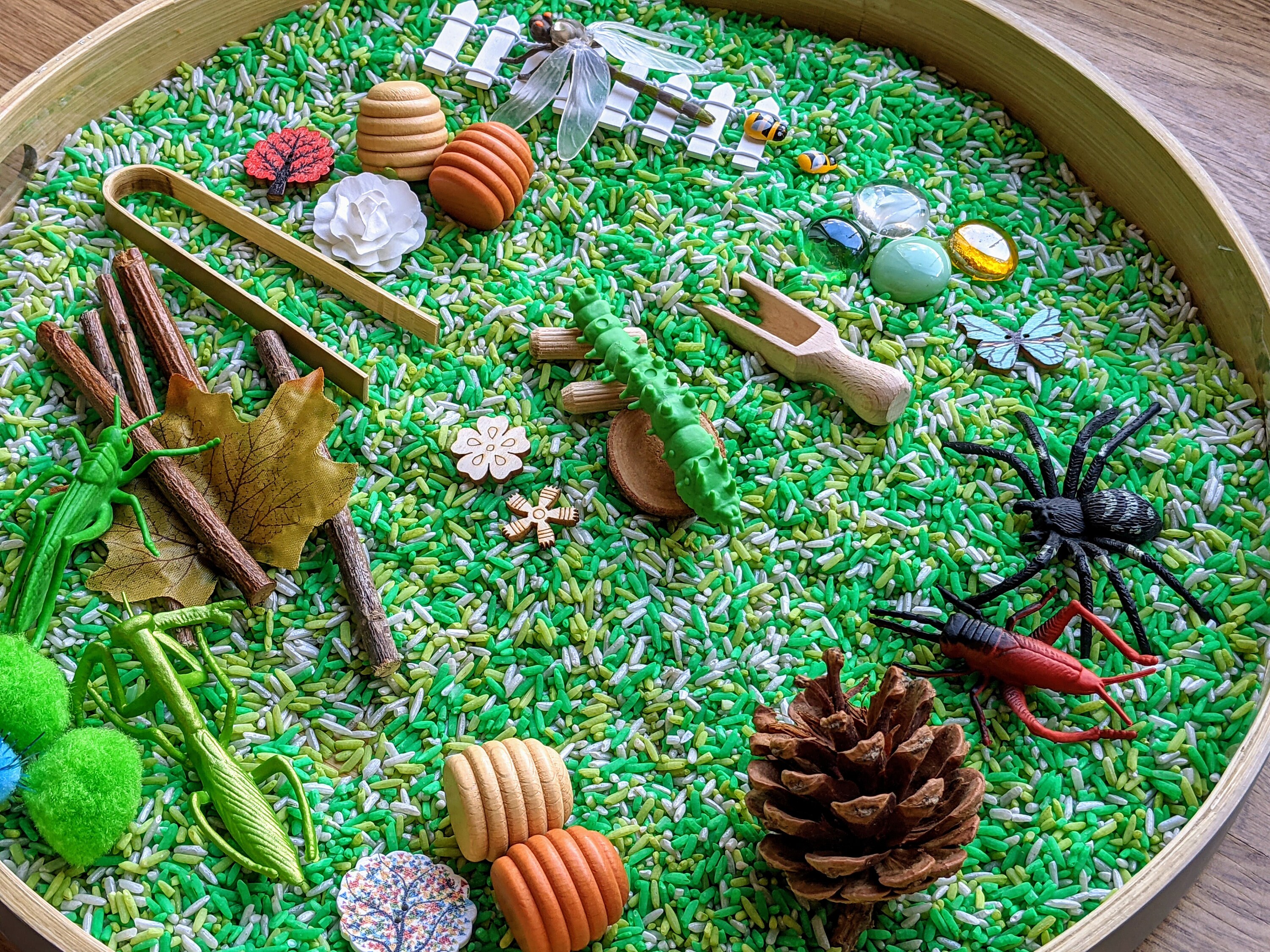 Minibeasts Sensory Kit Loose Parts Small World Play | Etsy