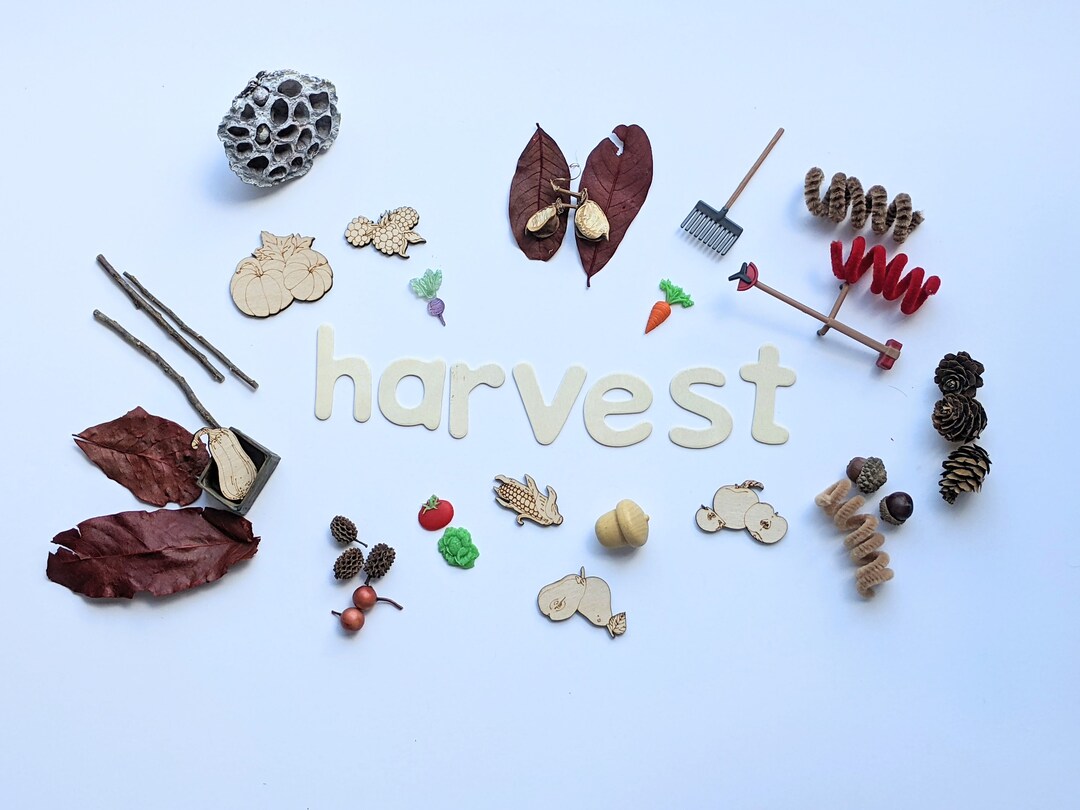 Harvest Sensory Kit, Loose Parts, Small World, Imaginative, Open-ended ...