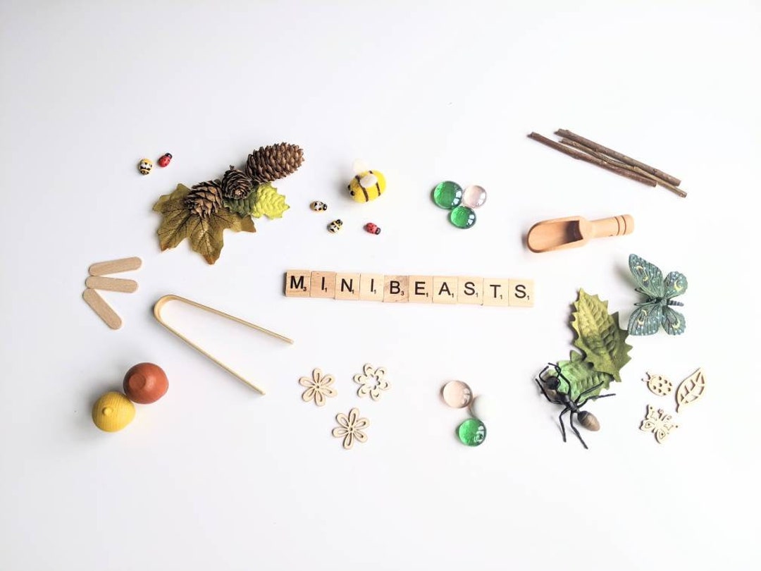 Minibeasts Sensory Kit, Loose Parts, Small World Play, Imaginative Play ...