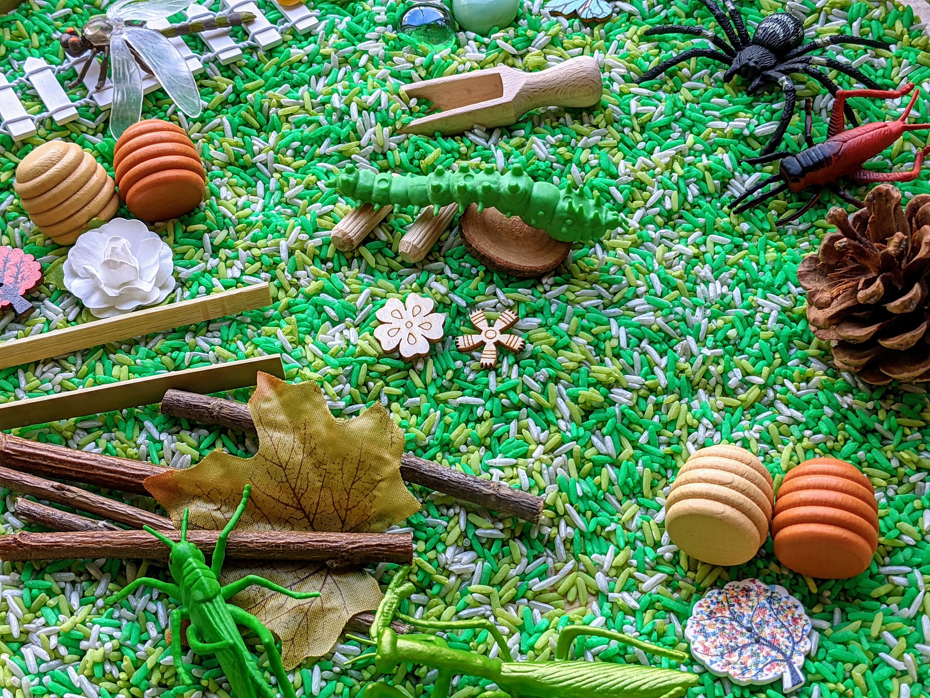 Minibeasts Sensory Kit Loose Parts Small World Play | Etsy