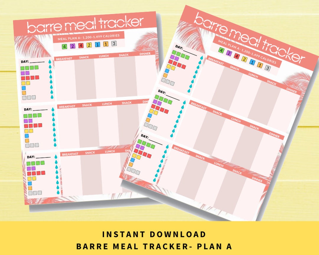 Barre Meal Tracker Plan A Portion Control - Etsy