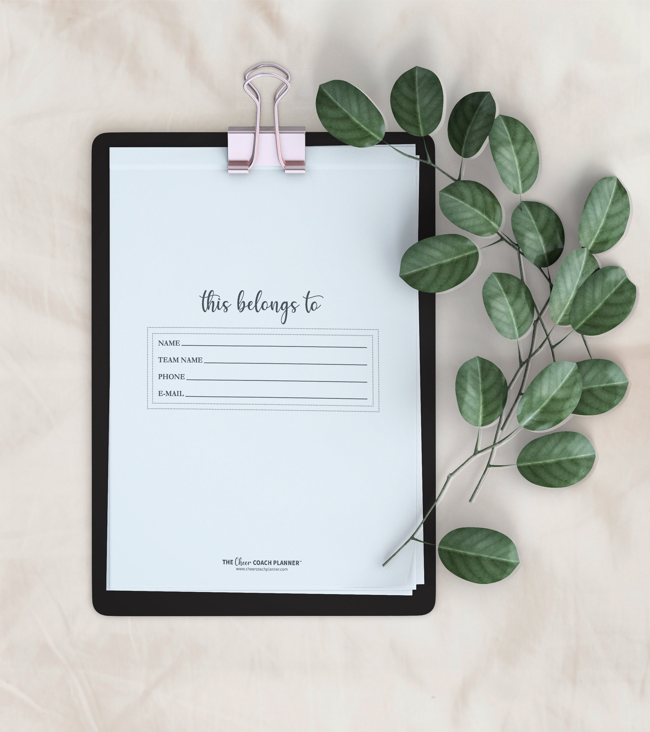 The Cheer Captain Planner January 2024-may 2025 274 Pages Color: Stone ...