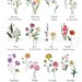 Family Birth Flower Design Names in Stems Personalized - Etsy