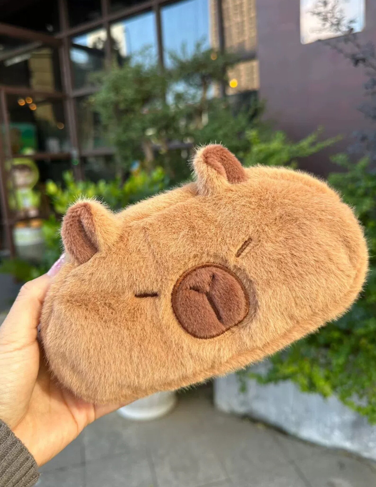 Capybara Pencil Case Capybara Makeup Bag Pouch Stationary Case Office ...