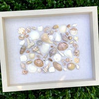 Florida Shell Art - Etsy