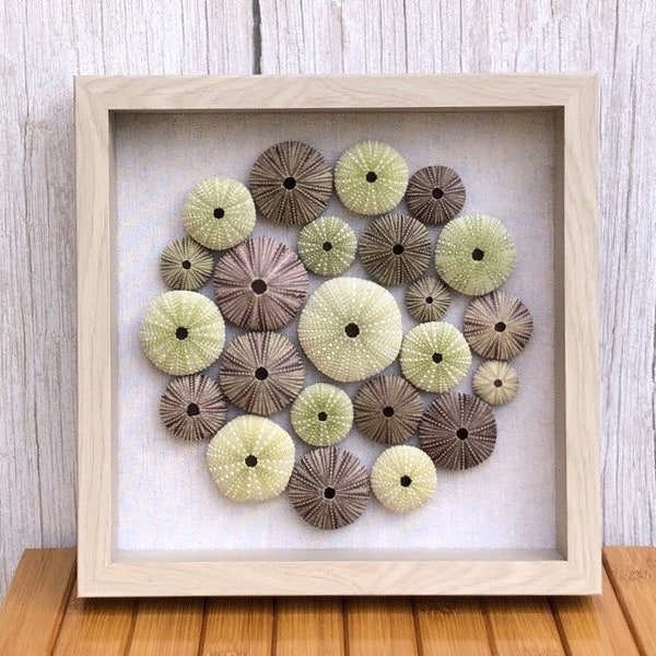 Sea Urchin Art - Etsy