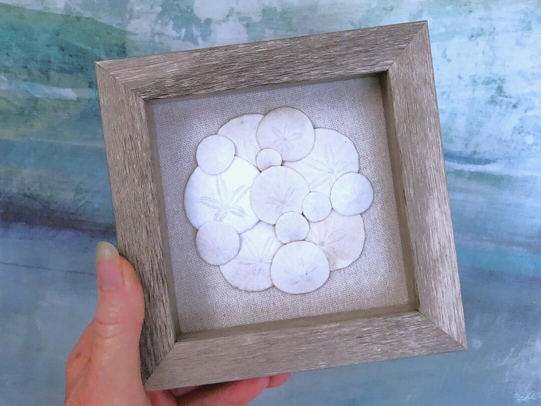Coastal Currency - Small Sand Dollar Collage-tabletop/wall Art/decor ...
